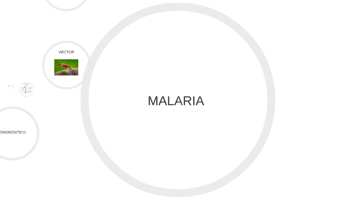 MALARIA by on Prezi
