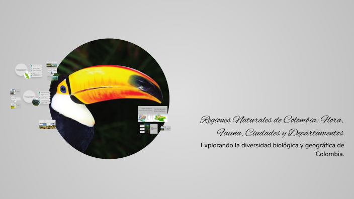 Regiones Naturales de Colombia: Flora, Fauna, Ciudades y Departamentos ...