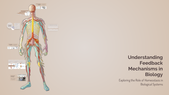Understanding Feedback Mechanisms in Biology by gertes rii on Prezi