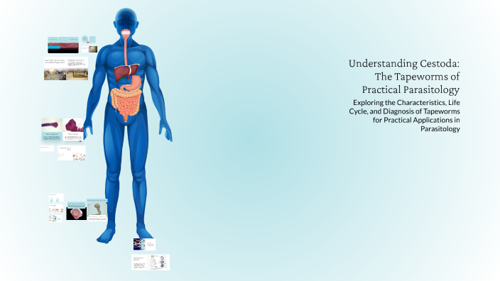Understanding Cestoda: The Tapeworms of Practical Parasitology by zienab ali on Prezi