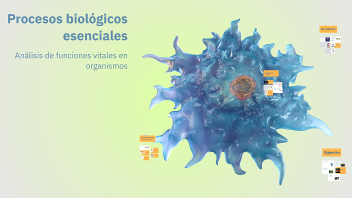 Procesos biológicos esenciales by Karina Yanez on Prezi