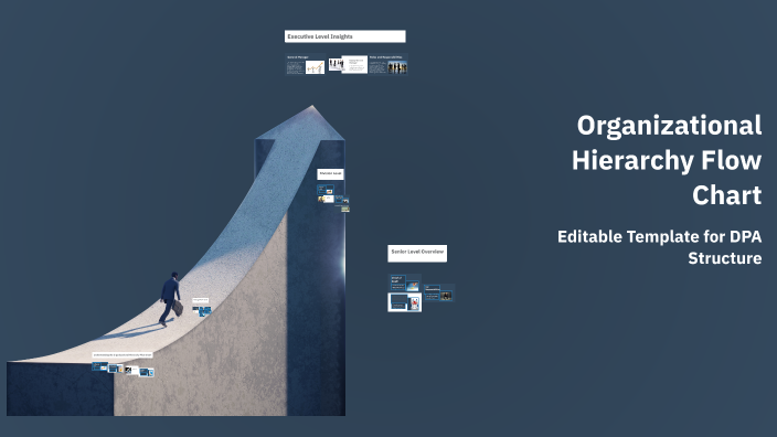 Organizational Hierarchy Flow Chart by Muna Ali on Prezi