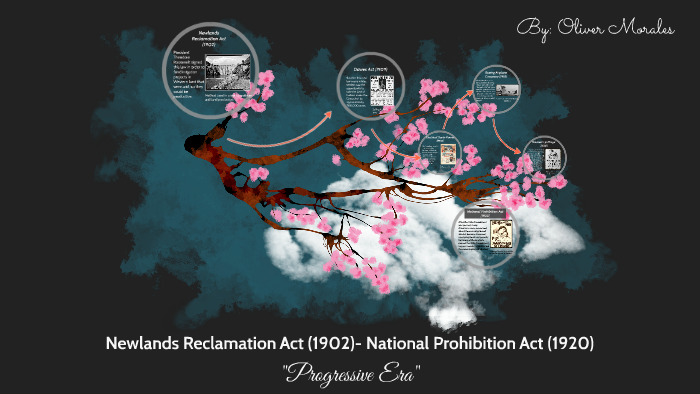 Newlands Reclamation Act Roosevelt