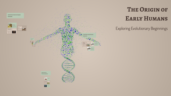 The Origin of Early Humans by Аймээрим Газиева on Prezi