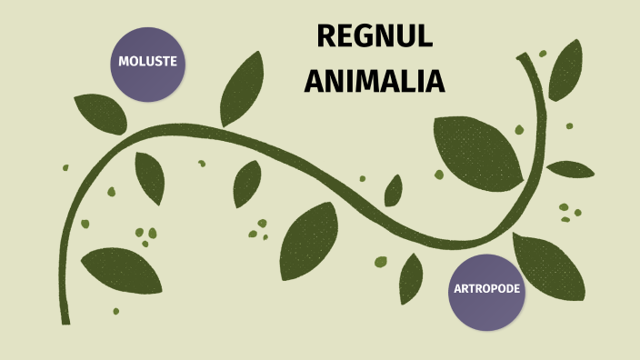Regnul Animalia by Carla Cozma on Prezi