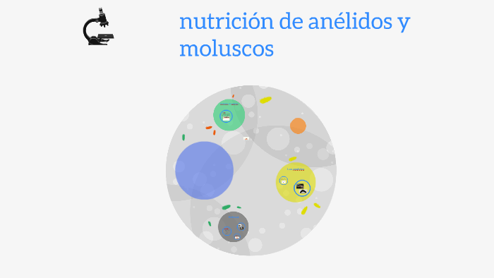 nutricion de anelidos by valentina casasbuenas on Prezi