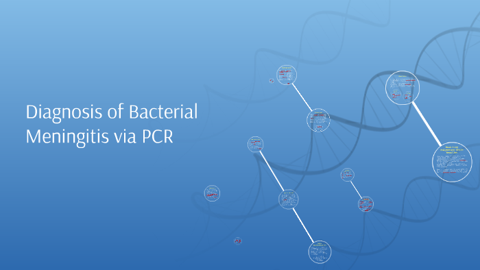 Diagnosis of Bacterial Meningitis via PCR by Sam Yacano on Prezi
