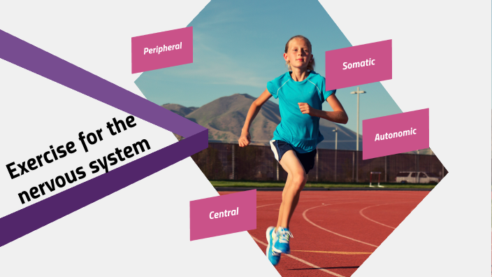 Exercise for the nervous system by MJ MJ on Prezi
