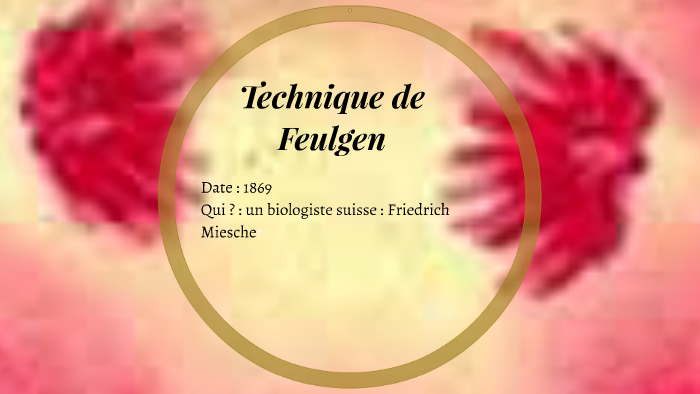 Technique de Feulgen by Adel Tebbani on Prezi