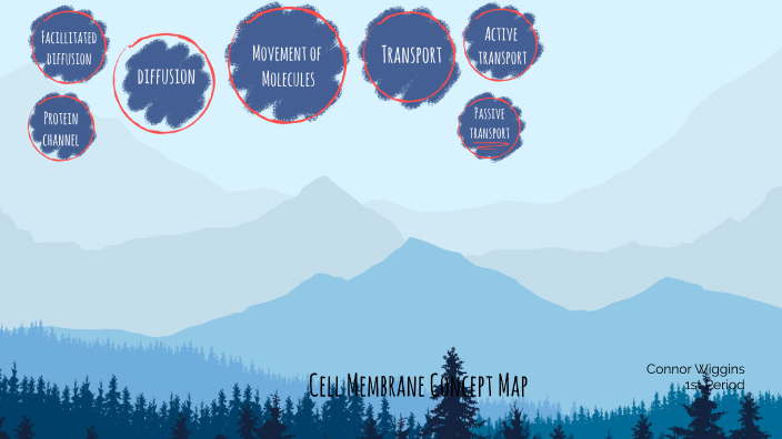 Cell Membrane Concept Map by connor wiggins on Prezi