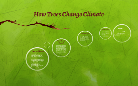 How Trees Change Climate by Tanner Reid on Prezi