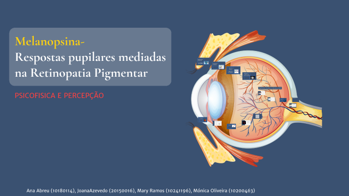 Respostas pupilares mediadas pela melanopsina na Retinopatia Pigmentar ...