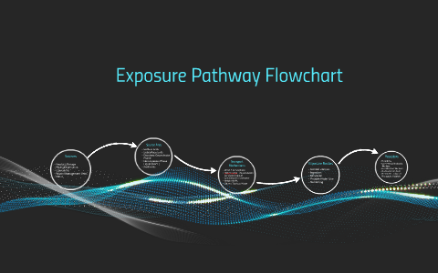 Exposure Pathway Flowchart by Melanie Smith on Prezi