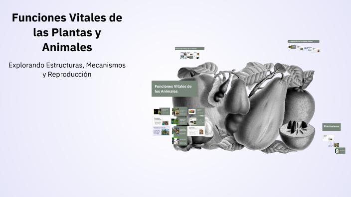 Funciones Vitales de las Plantas y Animales by Andres Jara on Prezi