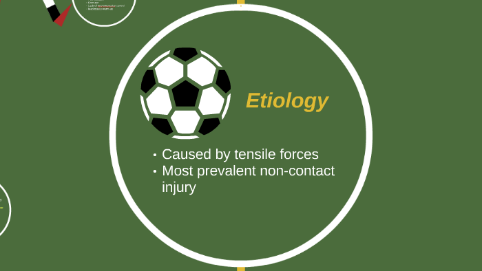 Hamstring Tear in Soccer Player by Kara Montieth on Prezi