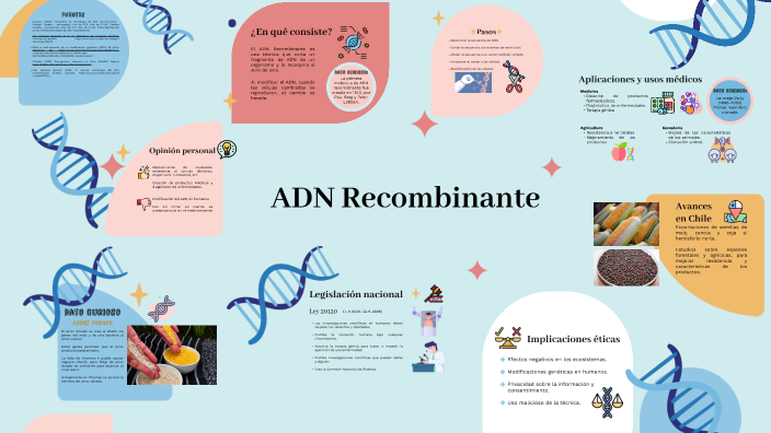 ADN Recombinante by Natalia Francisca Carreño Cáceres on Prezi