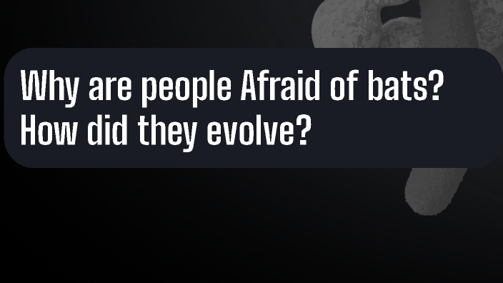 The Evolution of Bats by Alexander Berthold on Prezi