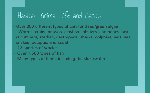 Great Barrier Reef by Barbara Susanin on Prezi