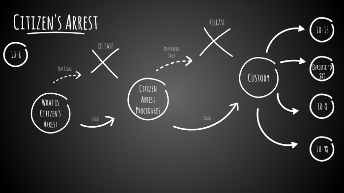 Citizen's Arrest by Jamie Huynh on Prezi