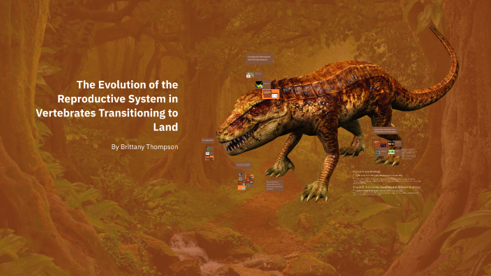 The Evolution of the Reproductive System in Vertebrates Transitioning ...