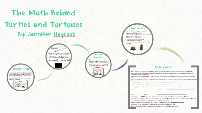 The Math Behind Turtles And Tortoises By Jenni Haycook On Prezi
