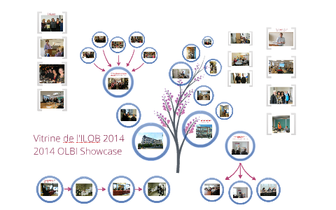 Vitrine de l'ILOB 2013 by Ilob com