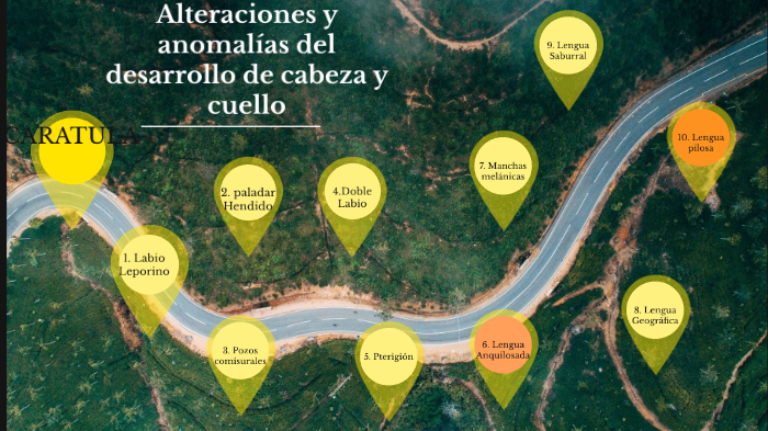 alteraciones y anaomalias anatomicas del desarrollo de cabeza y cuello ...