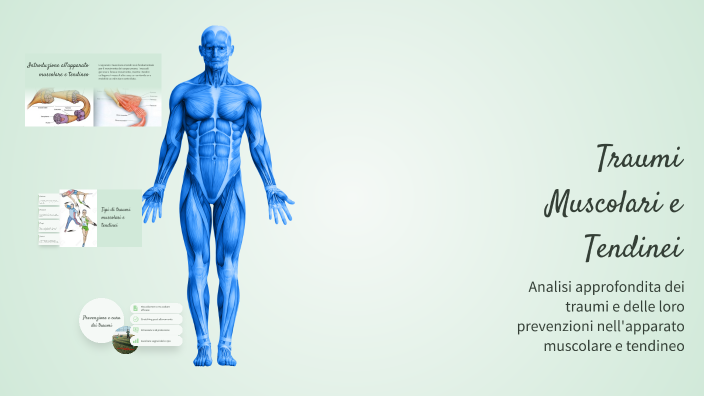 Traumi Muscolari e Tendinei by davide trabucco on Prezi