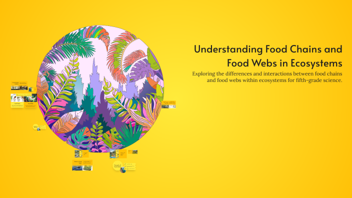 Understanding Food Chains and Food Webs in Ecosystems by Ali Nadeem on ...
