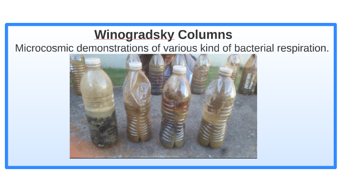 Winogradsky Column by Jackson Wells on Prezi