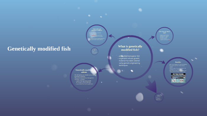 Genetically modified fish by Oona Goebbels on Prezi