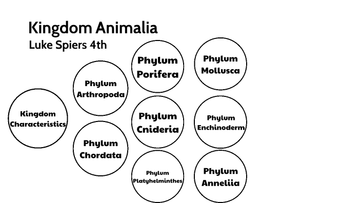 Zoology Luke Spiers by LUKE SPIERS on Prezi