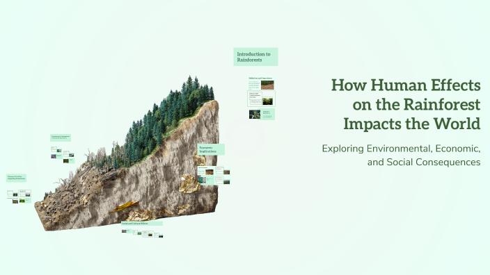 How Human Effects on the Rainforest Impacts the World by Isak Shubeli ...