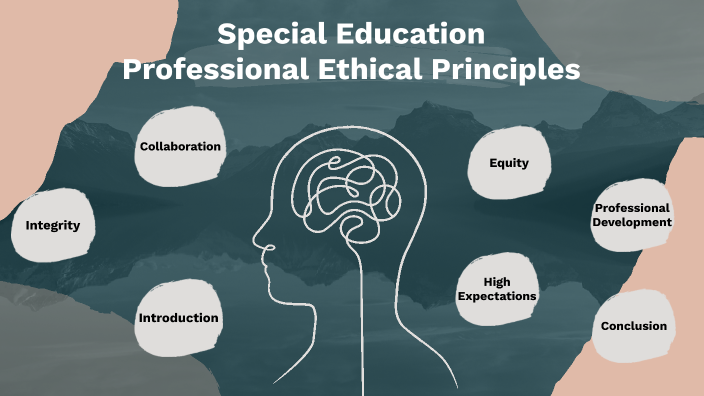 SPED5103 Module 2 Application: Special Education Professional Ethical ...