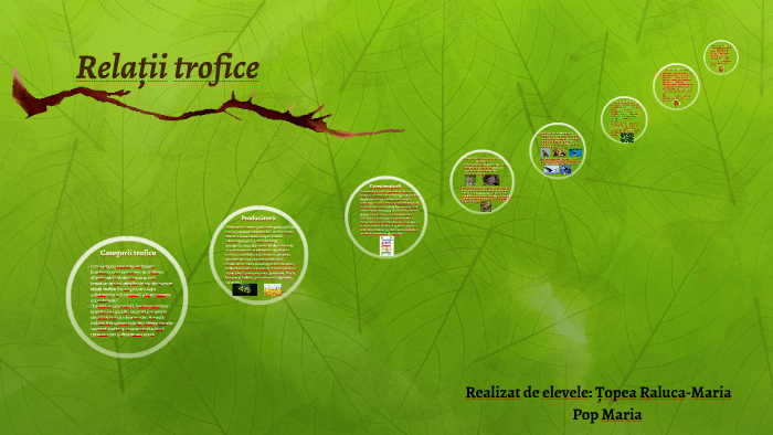 Relații trofice by Topea Maria on Prezi