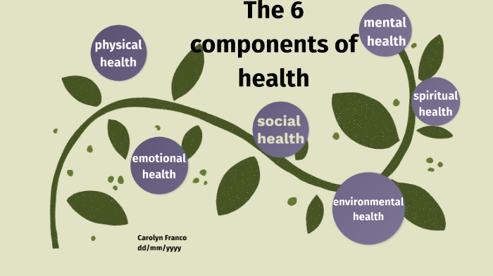 The 6 components of health by carolyn franco on Prezi