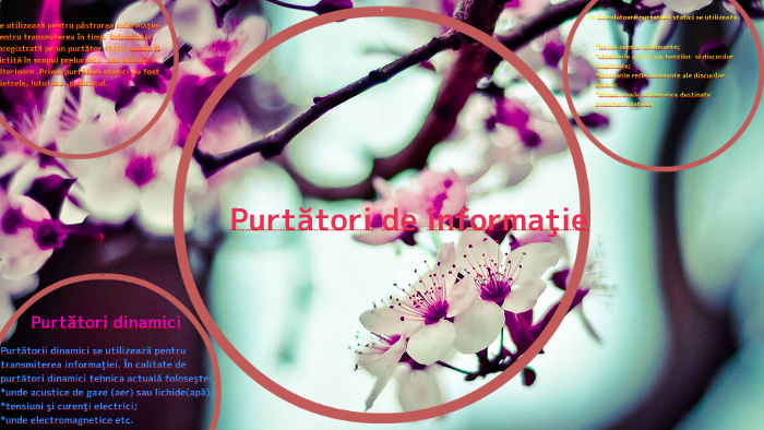 Purtatori de informatie by Irina Vîlcu on Prezi