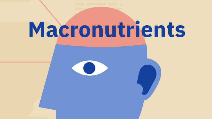 Macronutrient Concept Map by Lili Thomas on Prezi