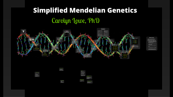 Simplified Genetics Part 1 by Carolyn Lowe on Prezi