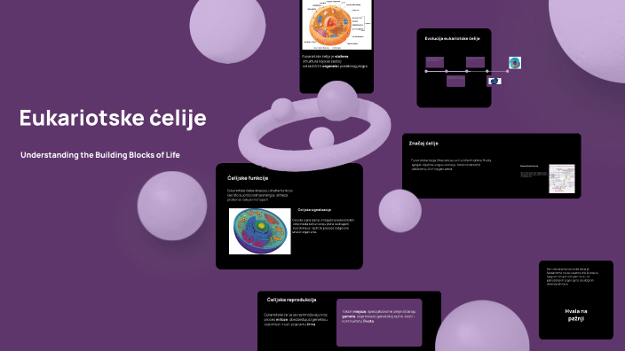 Eukaryotic Cell by Milica Ostojic on Prezi