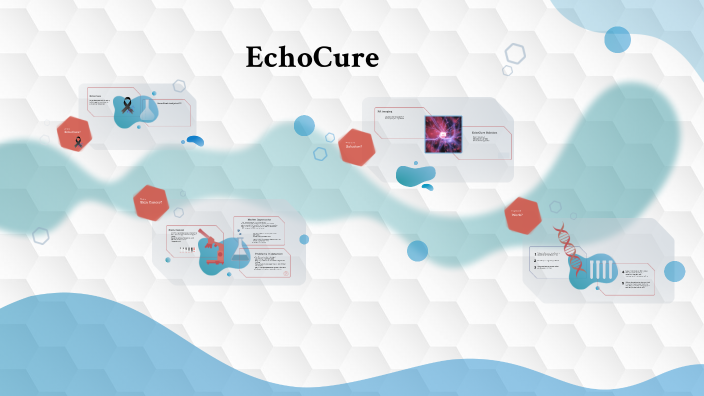 PAI Skin Cancer by Caroline Kabel on Prezi