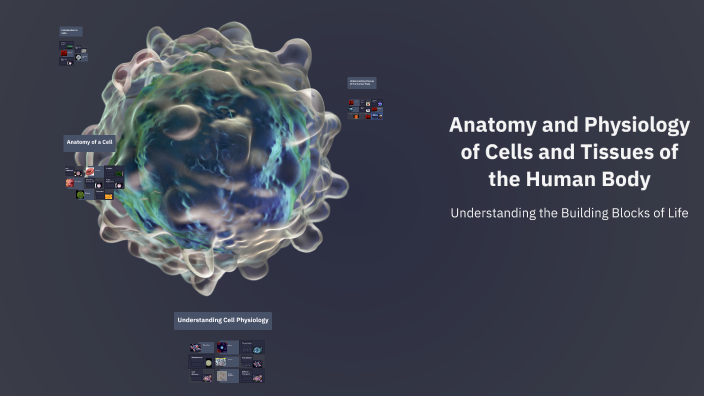 Anatomy and Physiology of Cells and Tissues of the Human Body by Suprith Gowda on Prezi