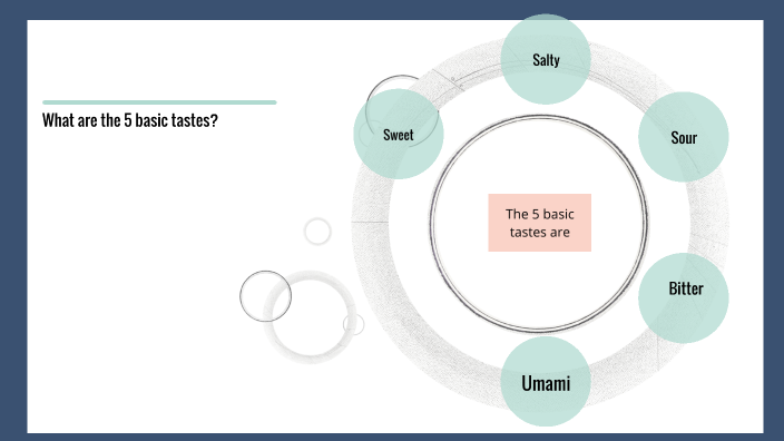 the five basic tastes by Jason Young on Prezi