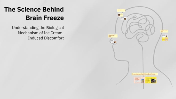 The Science Behind Brain Freeze by Abdulla Ali on Prezi