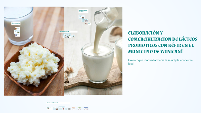 ELABORACIÓN Y COMERCIALIZACIÓN DE LÁCTEOS PROBIOTICOS CON KÉFIR EN EL ...