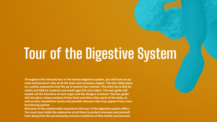 Tour of the Digestive System by Elizabeth Castina on Prezi