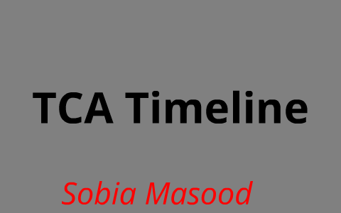 Operation Torch Timeline by Sobia M on Prezi