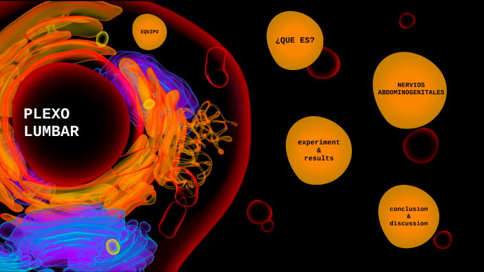 plexo lumbar by Emily Rios on Prezi