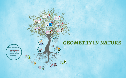 Geometry in Nature by Gaurisha Dewan on Prezi