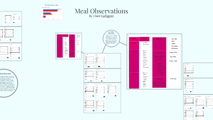 Meal Observations by Claire
